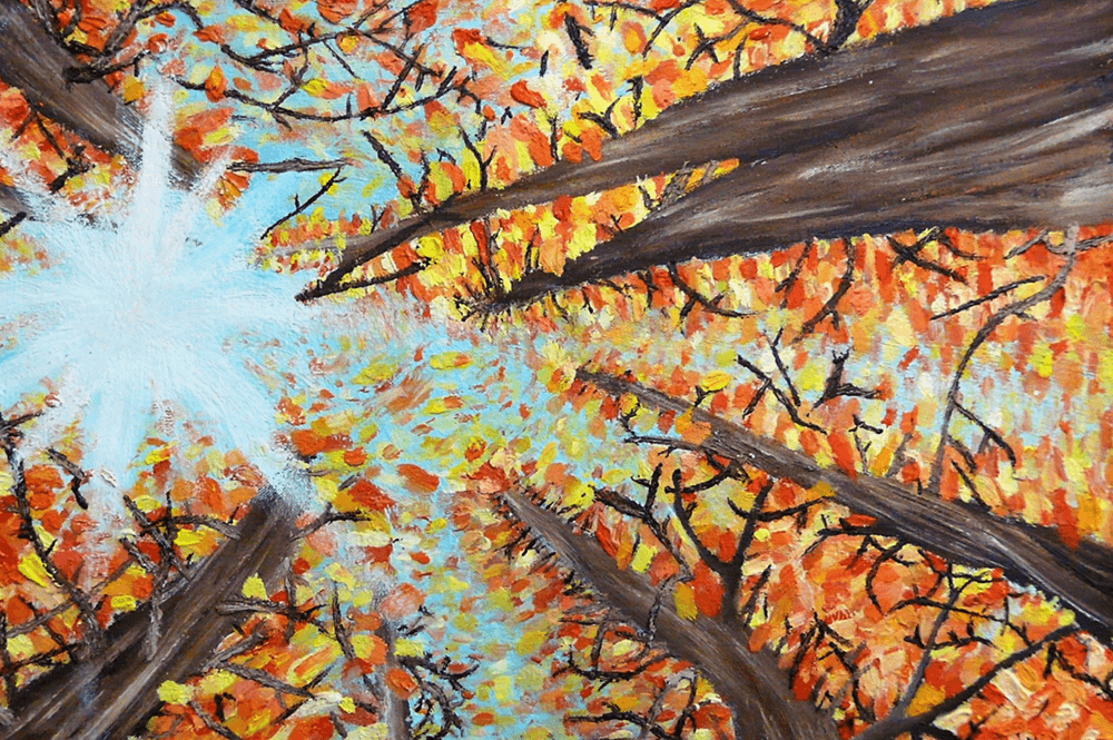 Junior Art, Craft & Design | Royal Adelaide Show