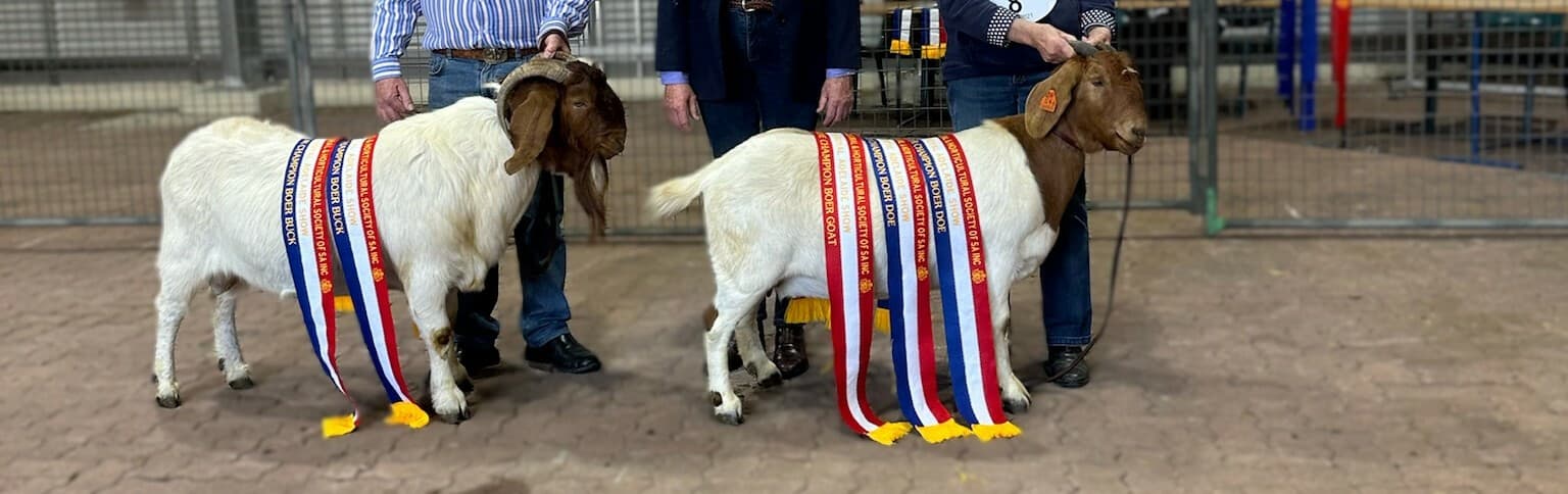 Goats | Royal Adelaide Show